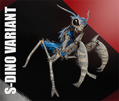 S-Dino Variants - ASA Community