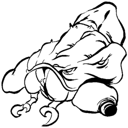 Vanilla-Wunschtame - PlayButton