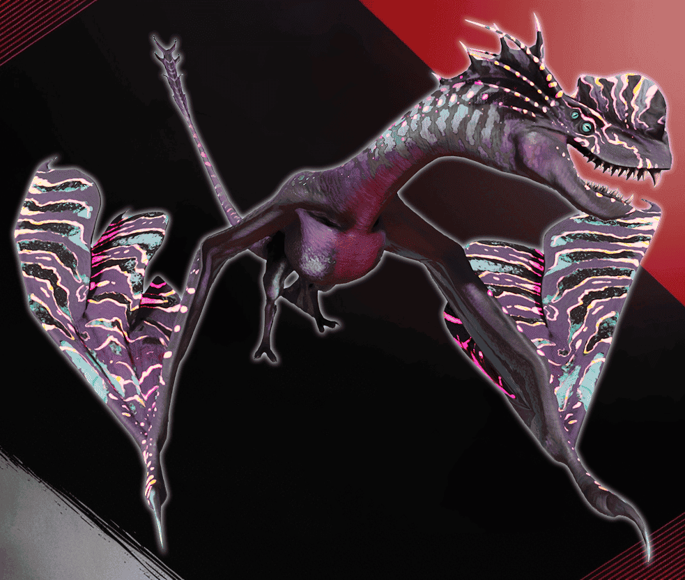 Flyers - ASA Community